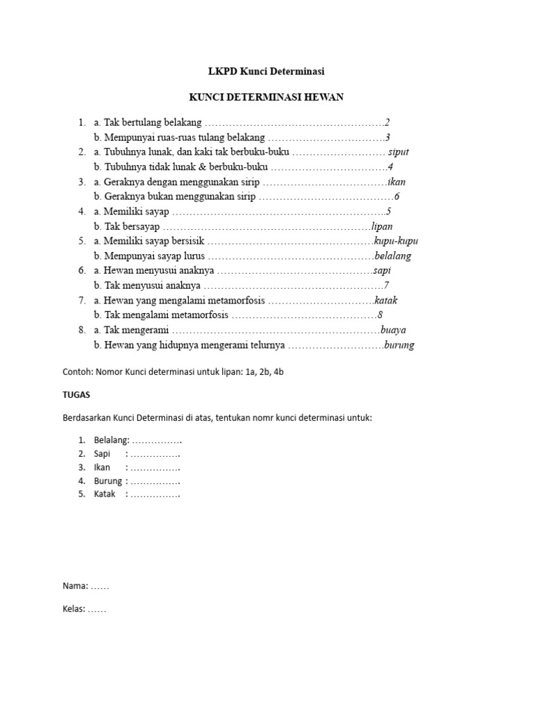LKPD Kunci Determinasi Hewan Kelas 7 | PDF
