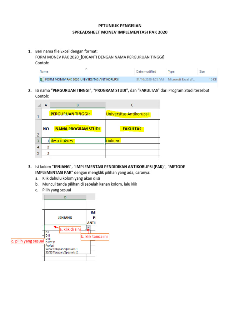 Petunjuk Pengisian Form Monev Pak 2020 | PDF