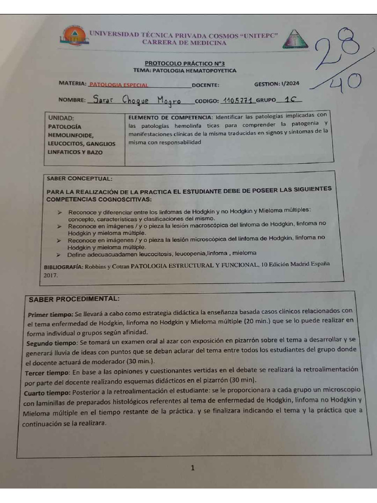 Protocolo-3 Compressed | PDF