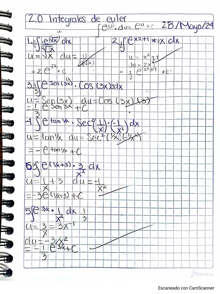 Integrales De Euler Pdf