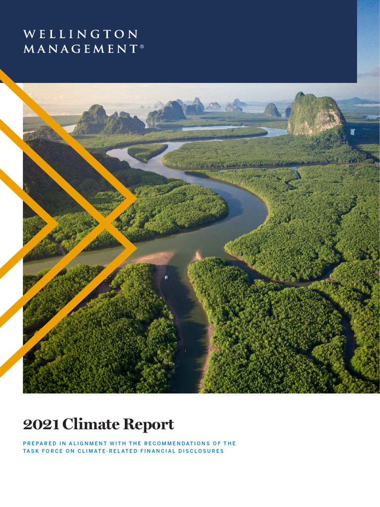 Climate Report 2021 | PDF | Investing | Risk