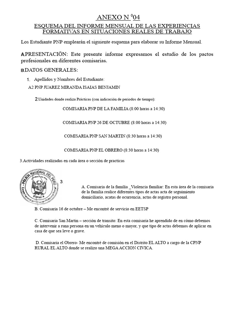 Informe Mensual de Prácticas PNP | PDF | Policía