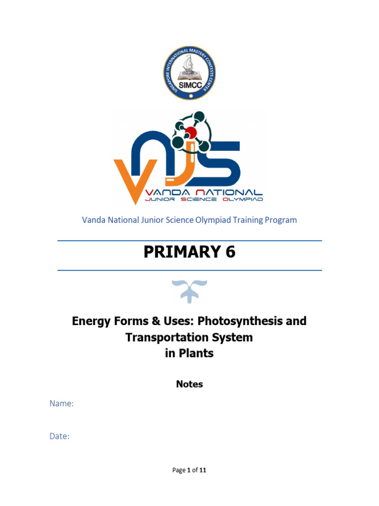 Photosynthesis and Plant Respiration Guide | PDF | Photosynthesis | Stoma