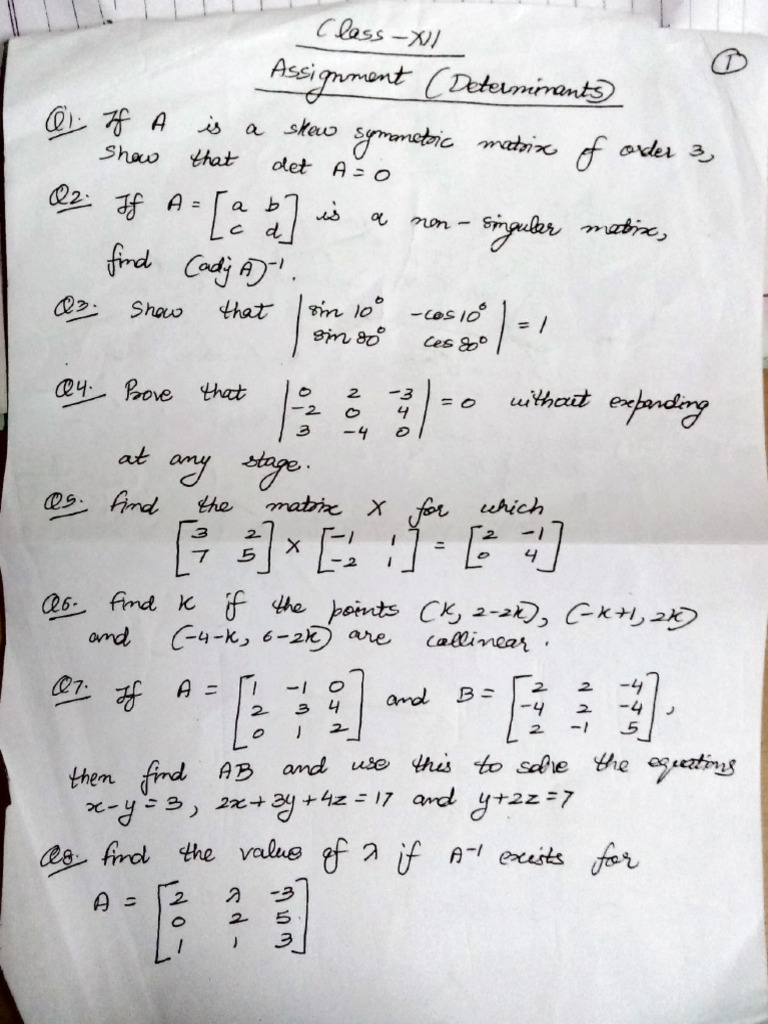 Determinants Assignment | PDF