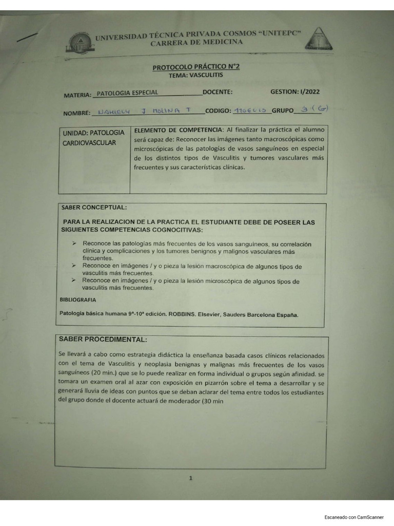 protocolo 2 pe | PDF