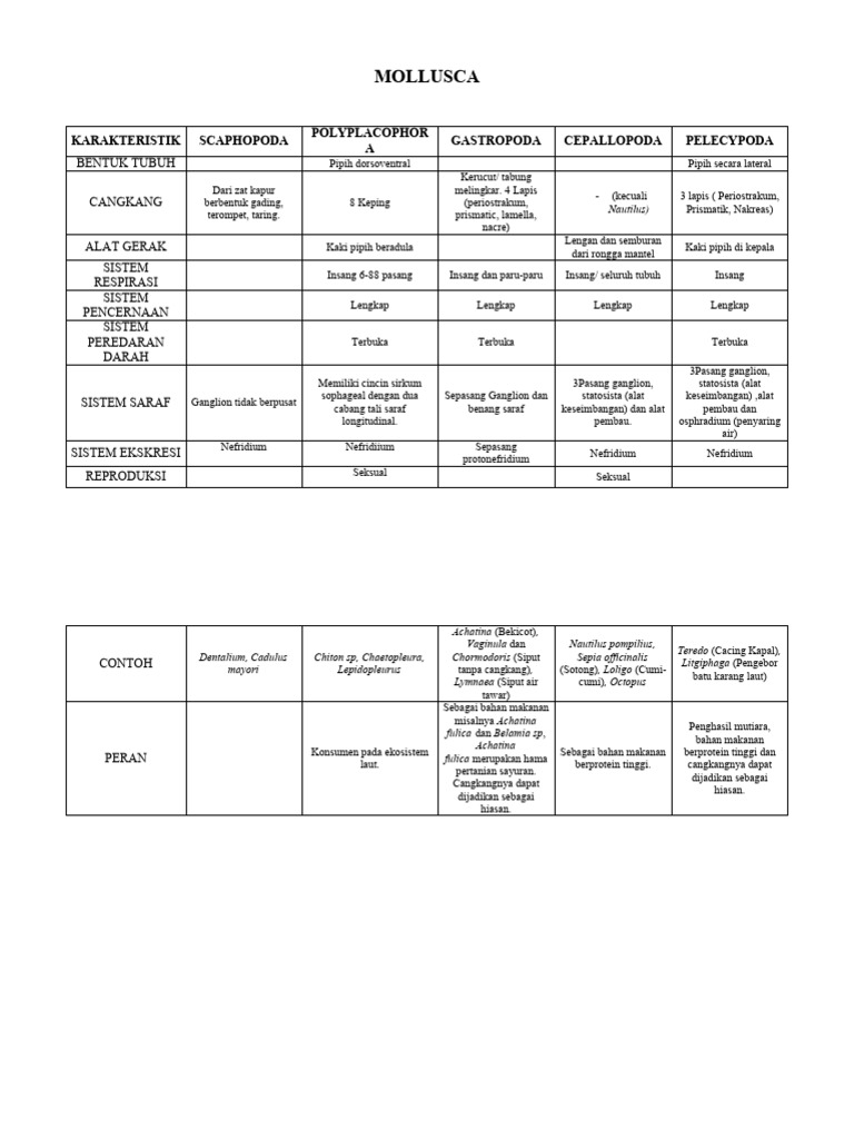 Mollusca dan Echinodermata | PDF