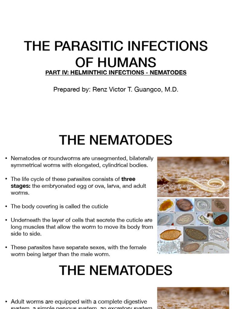 22 - The Parasitic Infections of Humans (Part 4 - Nematodes) | PDF | Nematode | Clinical Medicine