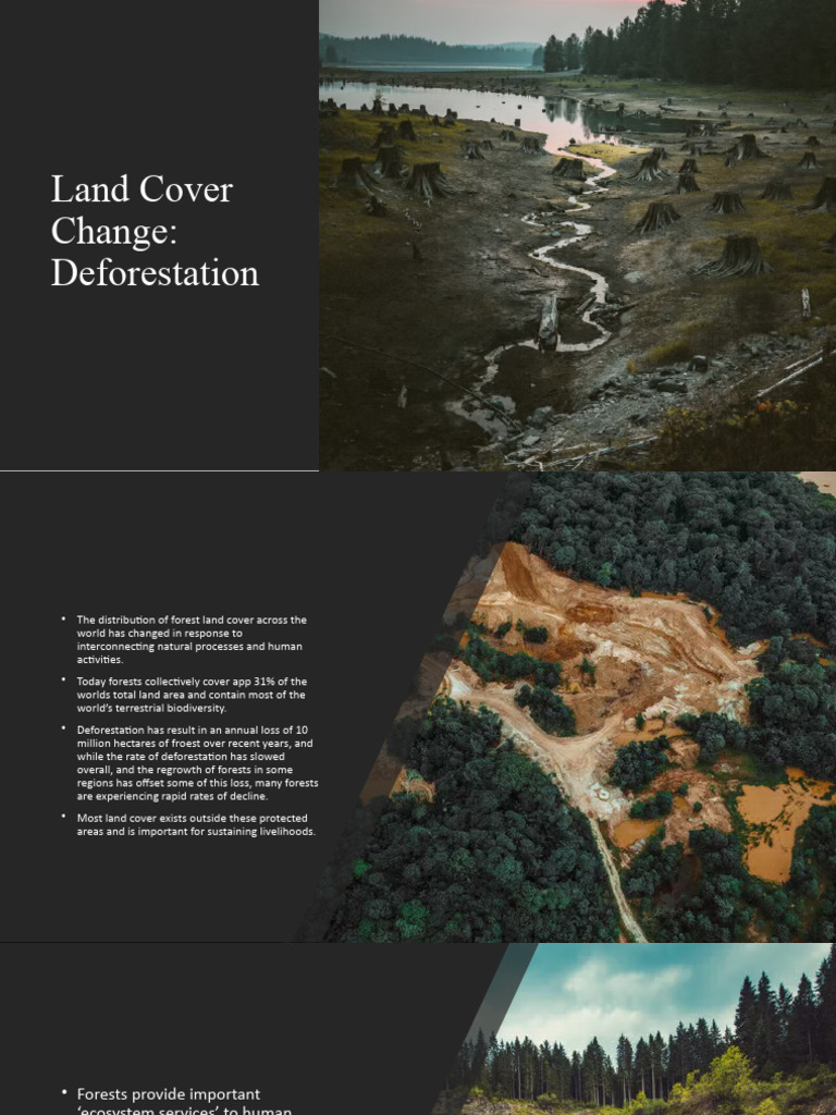Global Forest Cover and Deforestation Trends | PDF | Forests ...