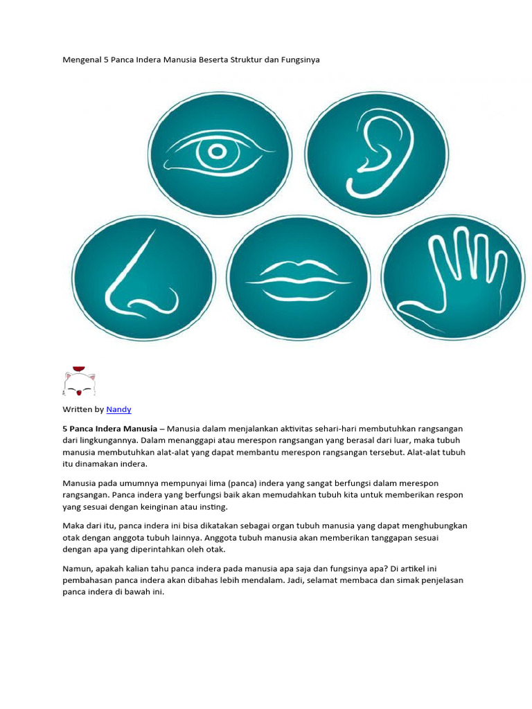 Mengenal 5 Panca Indera Manusia Beserta Struktur Dan Fungsinya | PDF