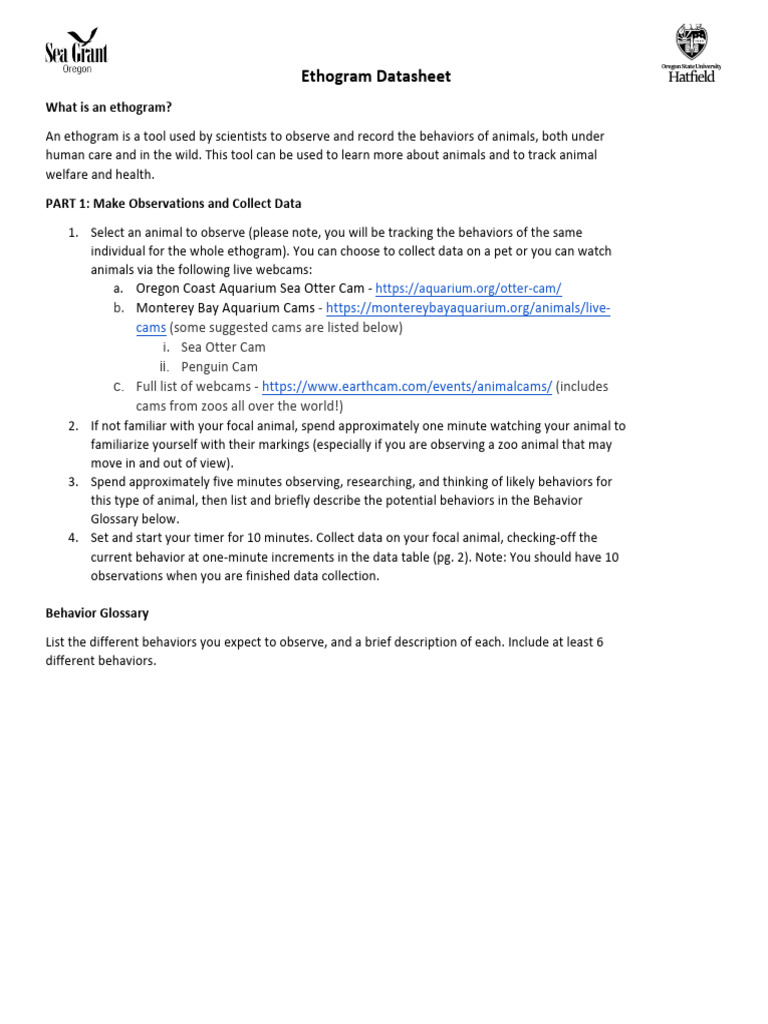 general_ethogram_datasheet_ages_13-18 | Download Free PDF | Chart | Zoo