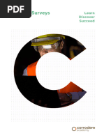 ICorr Coating Inspector Certification Guide | PDF | Educational ...