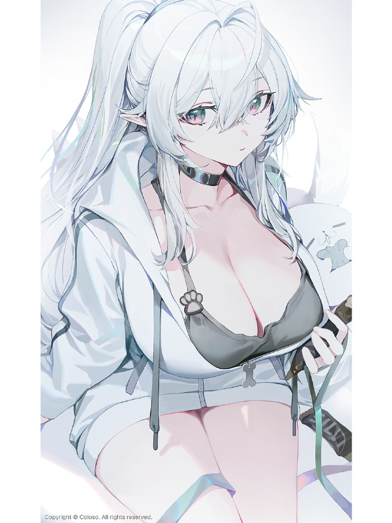 (Coloso) Free Courses - Chyan - Class Material | PDF