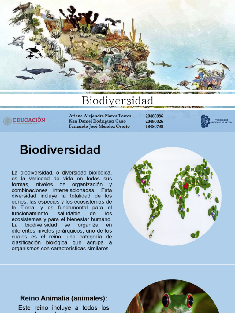 Bio Divers I Dad | PDF | Plantas | Eucariotas