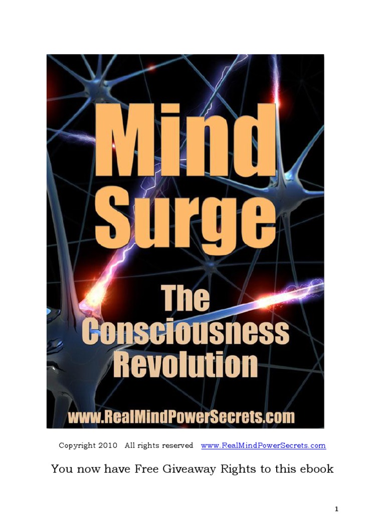 Mindsurge The Consciousness Revolution | PDF