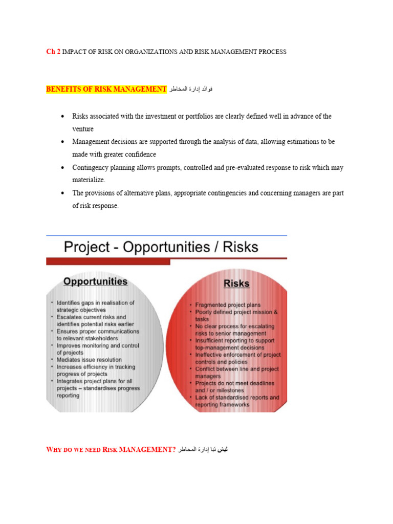 Risk Mamgament | PDF | Risk | Risk Management