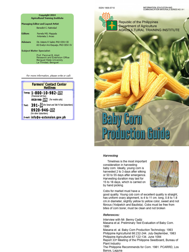 Baby Corn Production Guide | PDF | Maize | Soil