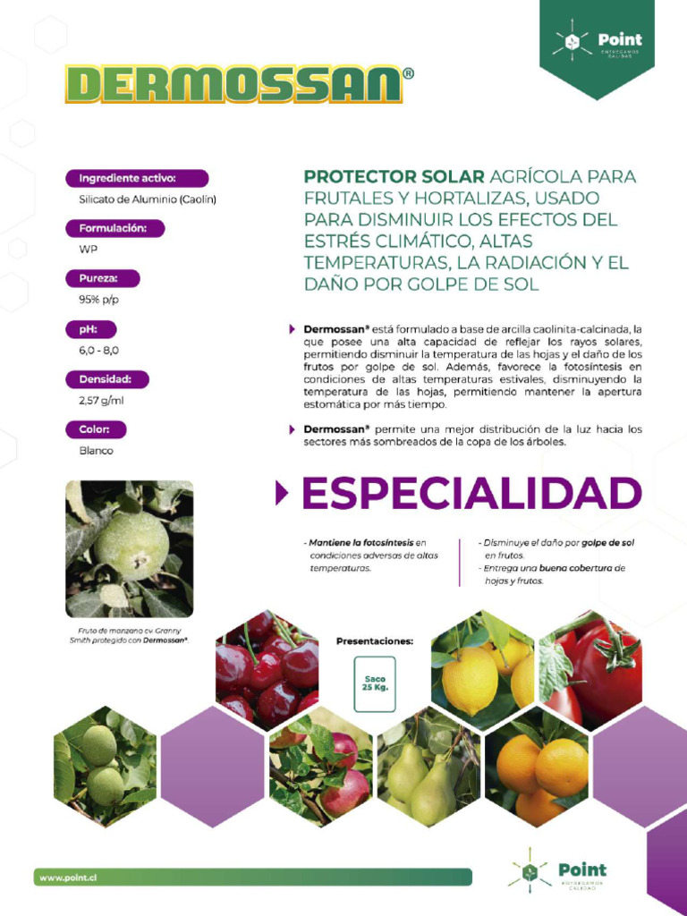 dermossan-_Folleto. | PDF