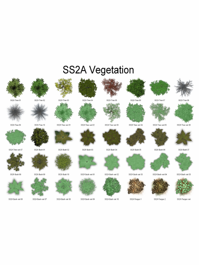 SS2A Vegetation | PDF