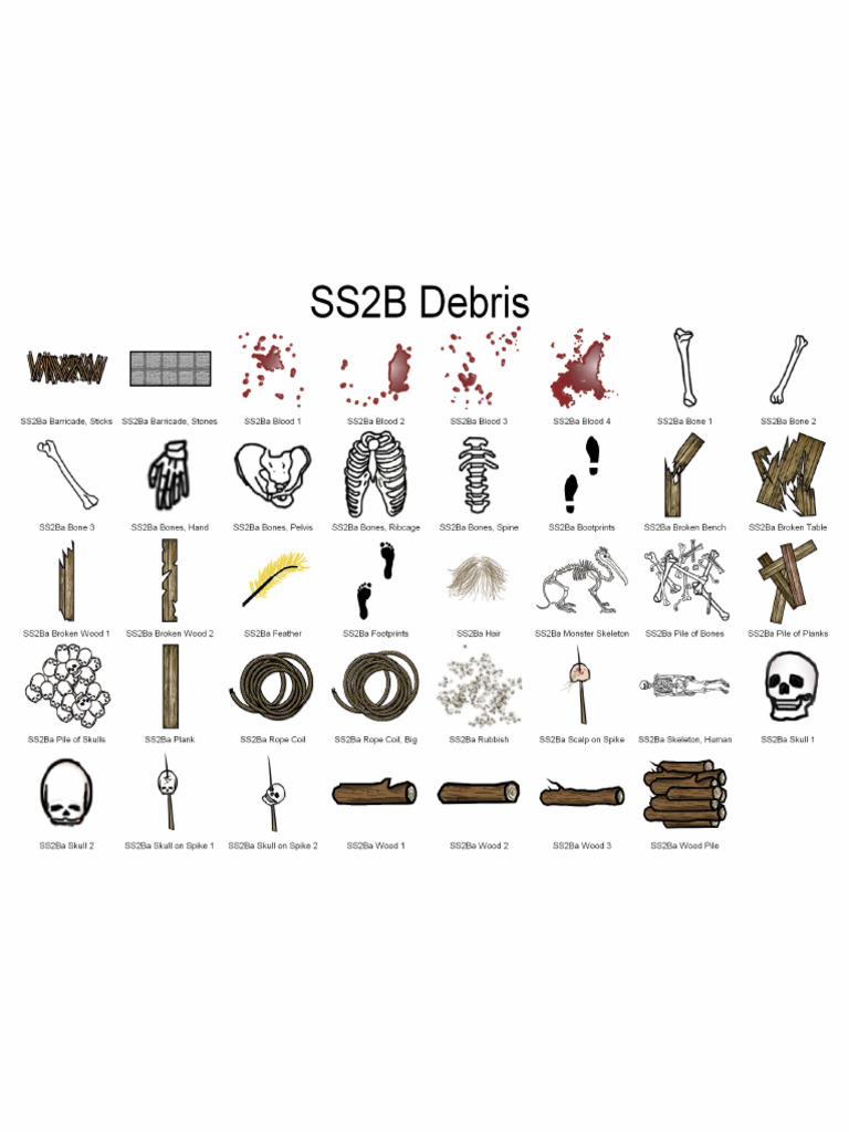 SS2b Debris | PDF