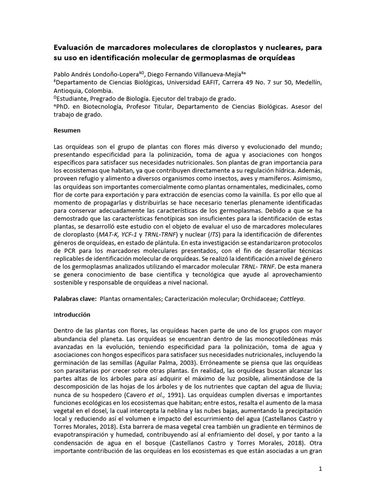 Identificación Molecular de Orquídeas | PDF | Reacción en cadena de la ...