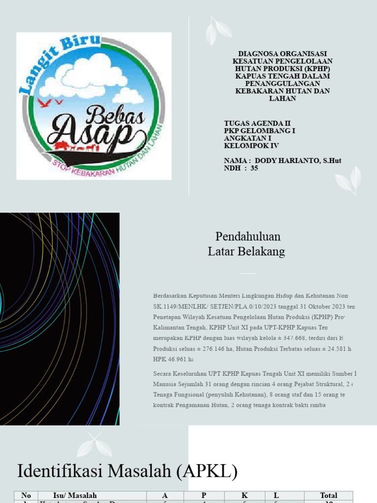 Diagnosa Organisasi Kesatuan Pengelolaan Hutan Produksi (KPHP | PDF