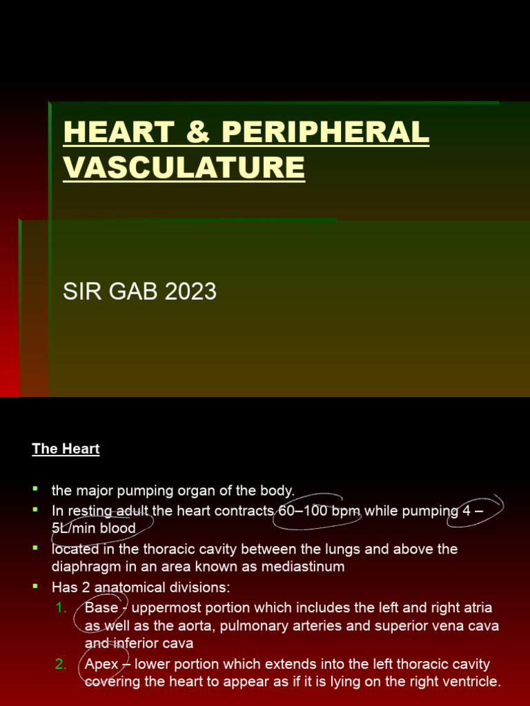 HEART AND PERIPHERAL VASCULATURE Assessment | PDF | Heart Valve | Heart