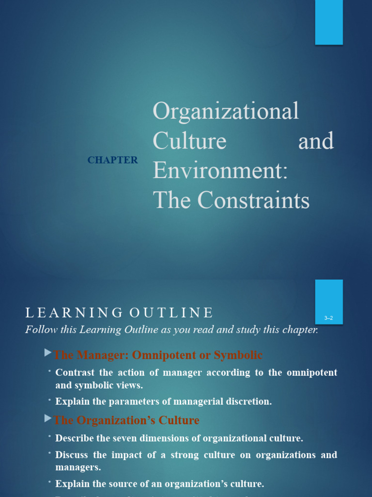 Chapter 3 Managing The External Environment | PDF | Organizational Culture | Employment