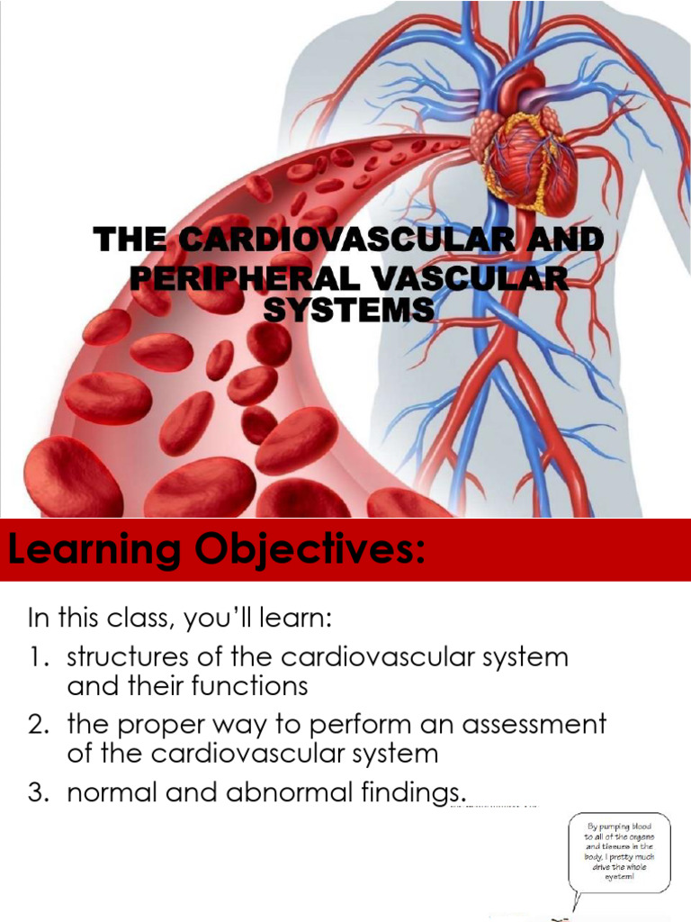 Cardiovascular System Assessment | PDF | Atrium (Heart) | Heart