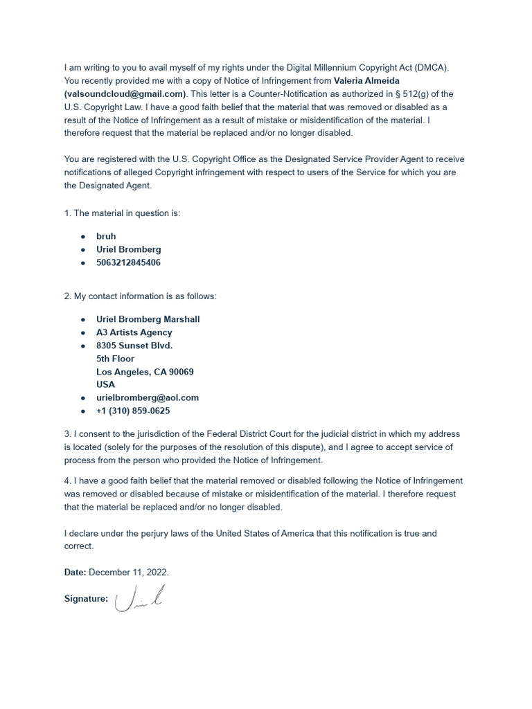 DMCA Counter-Notification Letter | PDF
