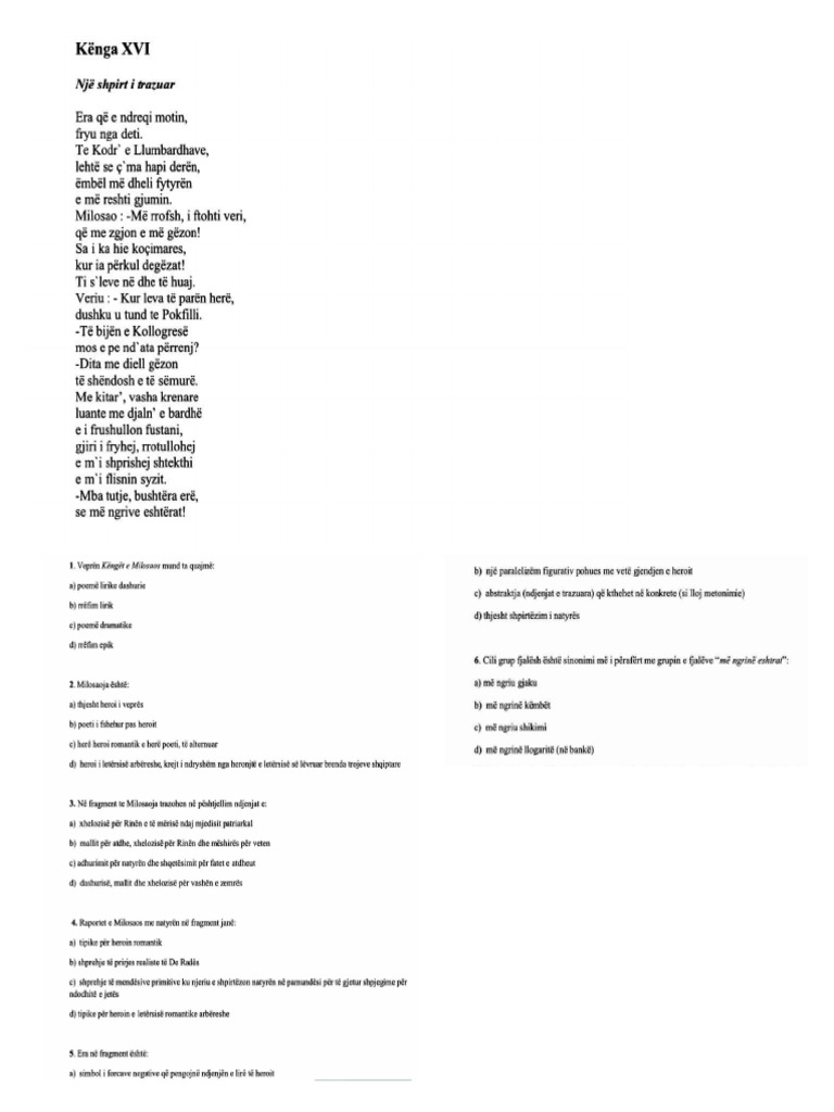 Test Letersi Klasa 11 Tremujori 2 | PDF