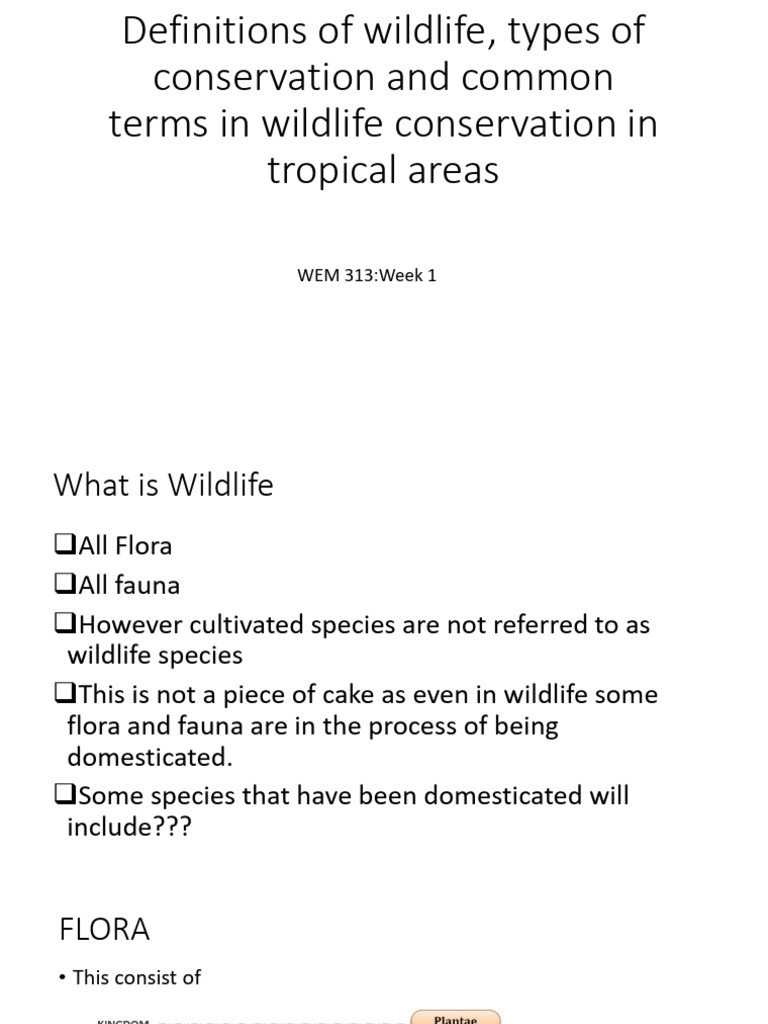 Definitions Of Wildlife Types Of Conservation And Pdf New Download