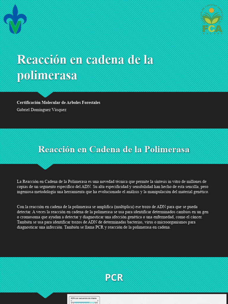 Reacción en Cadena de La Polimerasa PCR | PDF | Reacción en cadena de la polimerasa | Primer ...