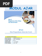 MODUL AJAR IPAS KELAS 5 - Organ Pencernaan Manusia | PDF