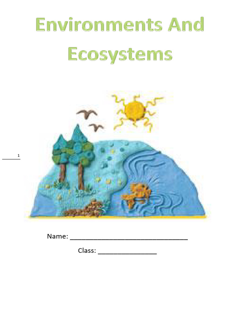 Environments and Ecosystems | PDF | Rainforest | Soil