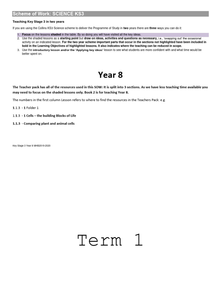 Year 8 Science | PDF | Voltage | Electrical Resistance And Conductance