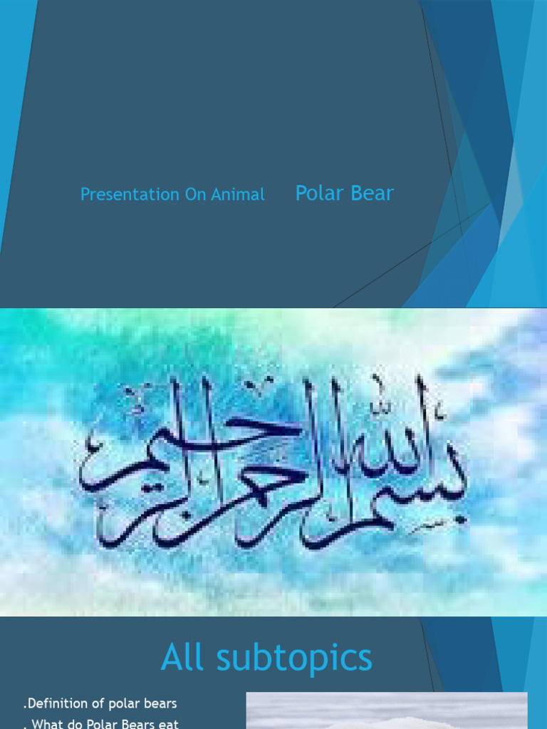 Polar Bear Facts and Habitat Overview | PDF | Home & Garden | Science ...