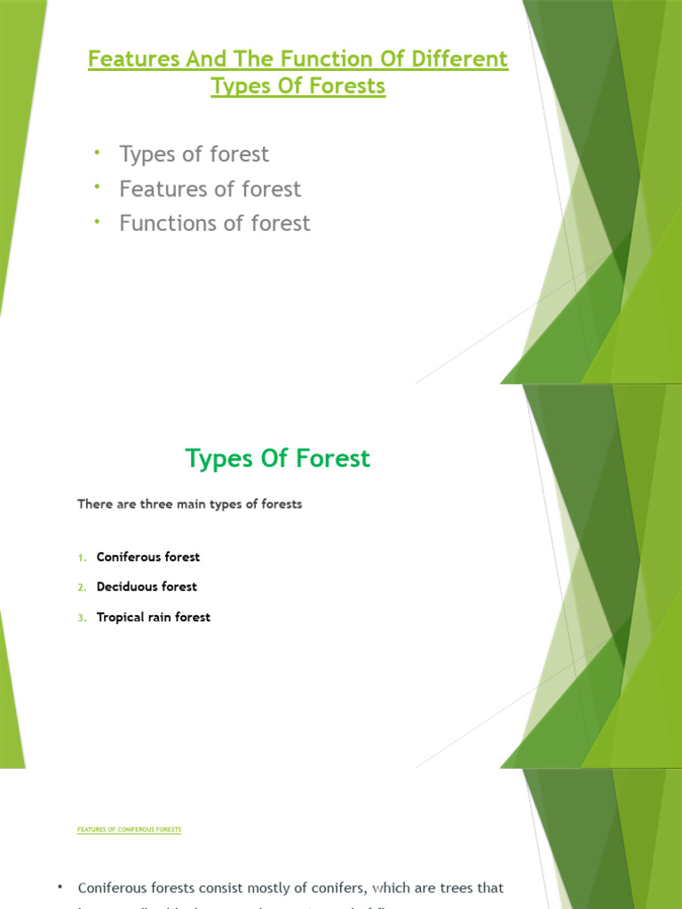 presentation-types of forests | Download Free PDF | Forests | Trees