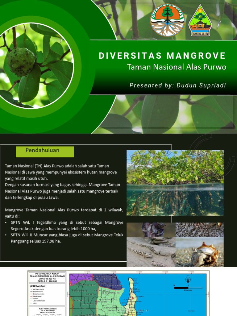Diversitas Mangrove TNAP - Dudun Supriadi | PDF | Griya & Taman