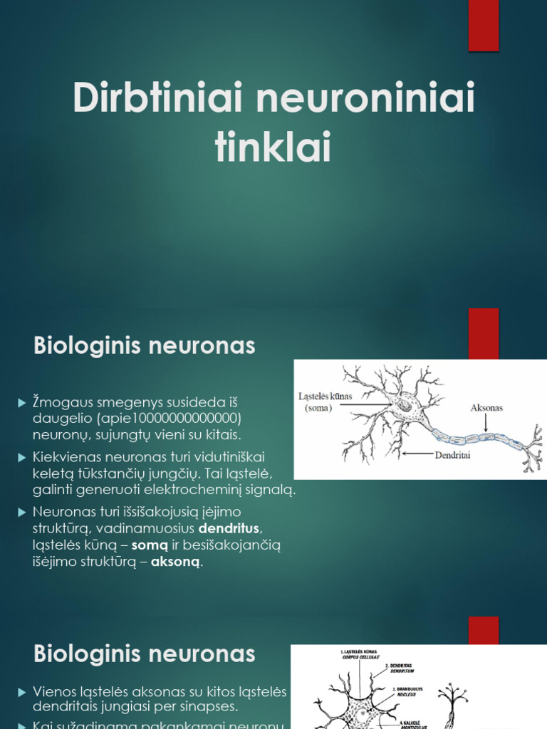 5 pamoka Dirbtiniai neuroniniai tinklai | PDF