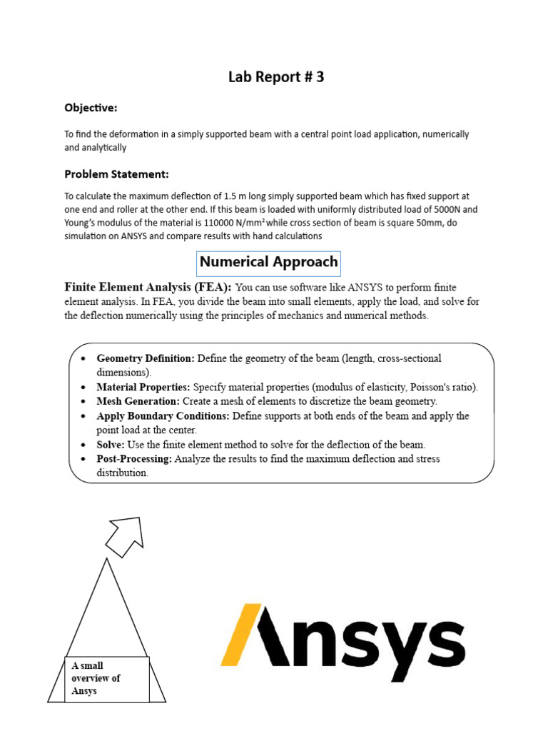 Lab Report 3 Fem | PDF