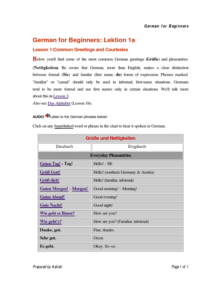 German For Beginners PDF Dli DR Notes | PDF | Grammatical Gender | Noun