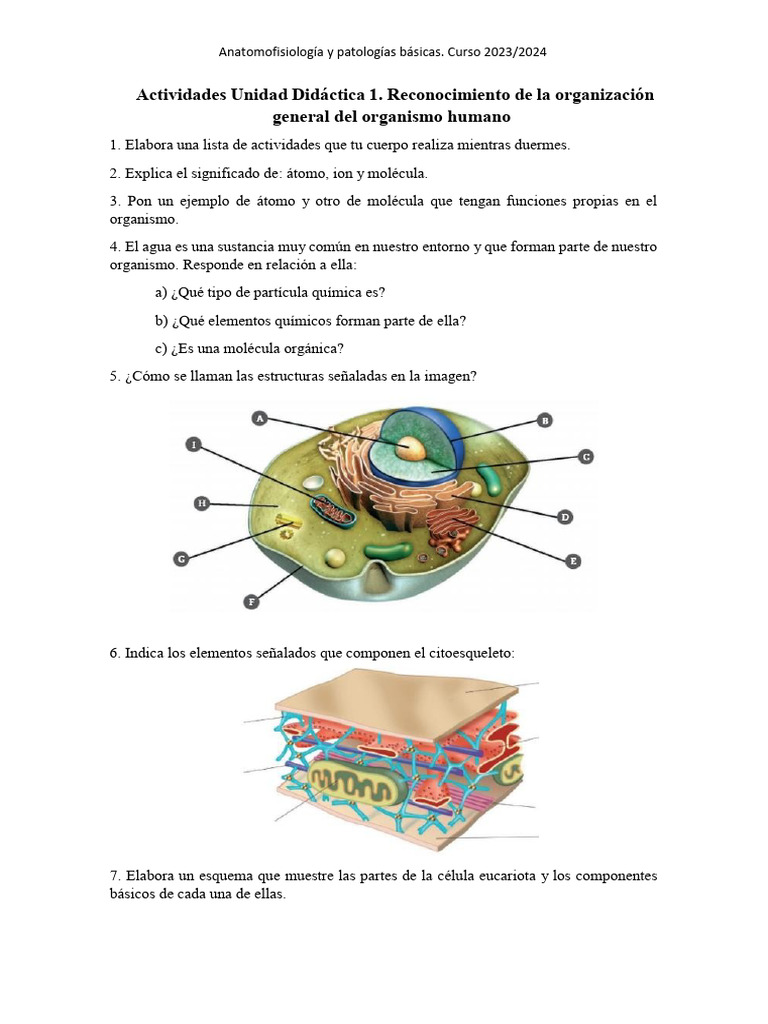 Actividades UD1 AFPB | PDF