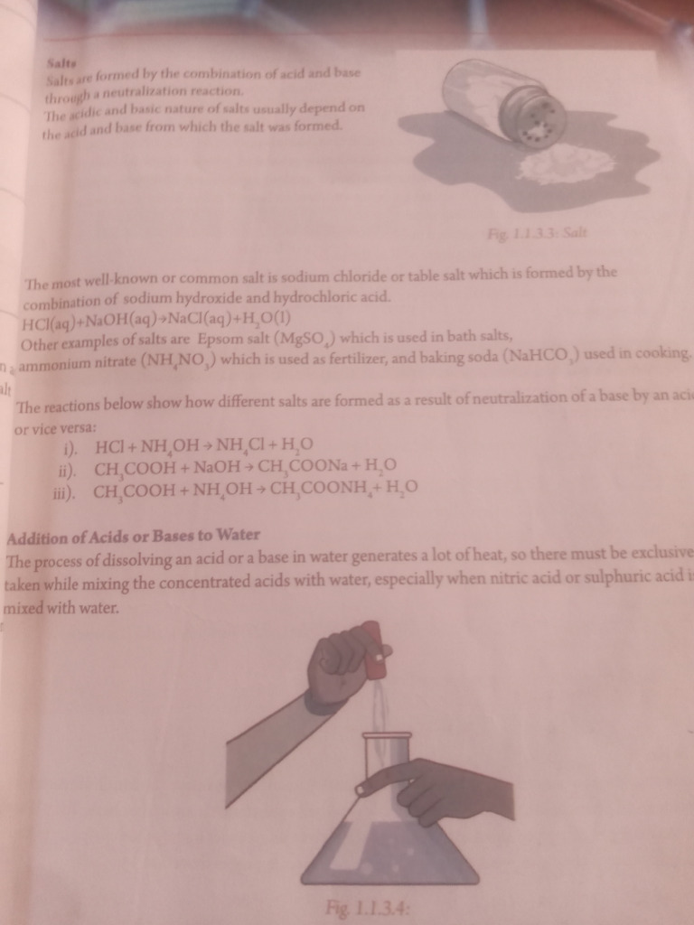 List of Common Bases | PDF