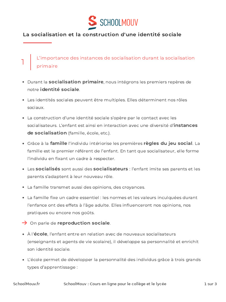 Construction de l'identité sociale | PDF | Socialisation | Identité ...