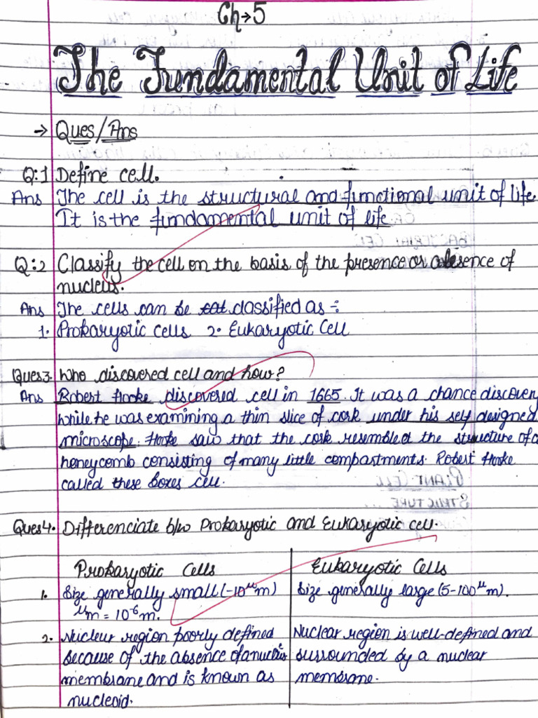 ch-5 Cell The Fundamental Unit of Life | PDF