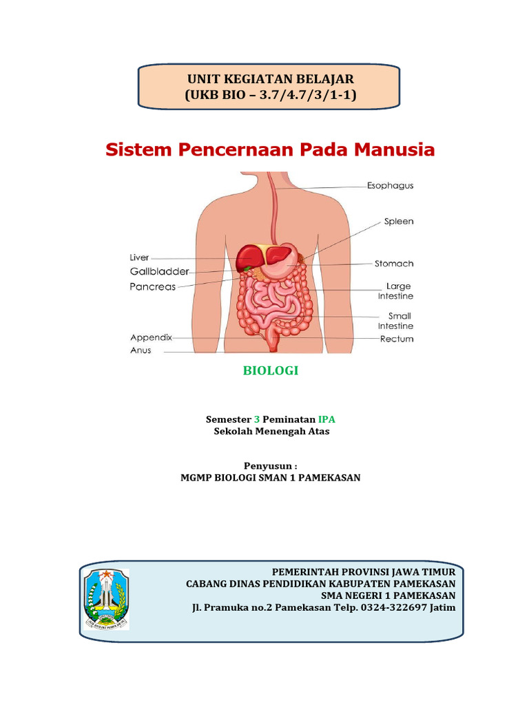UKBM 3.7 Sistem Pencernaan | PDF | Kesehatan Holistik
