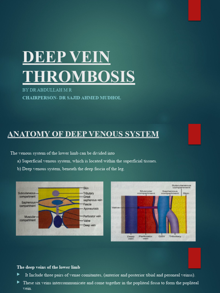 DVT 2 | PDF | Vein | Thrombosis