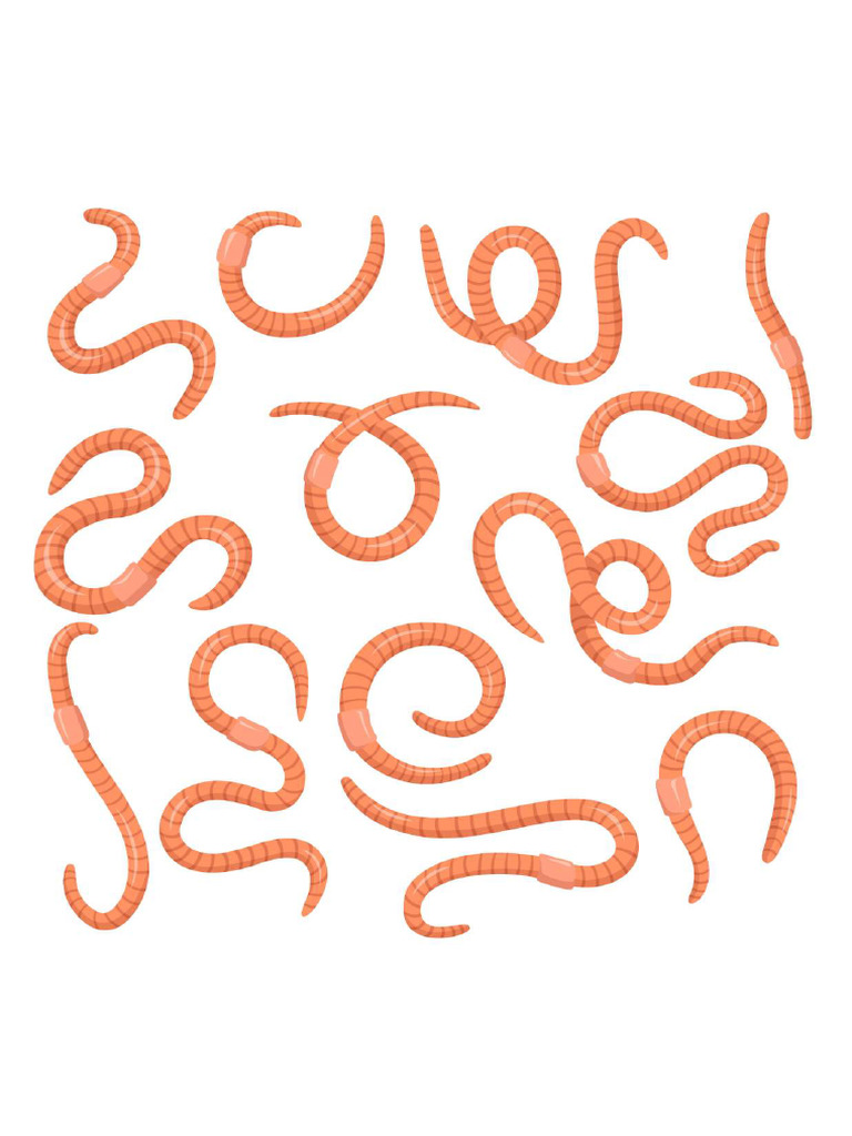 Cartoon Pink Worms Set | PDF