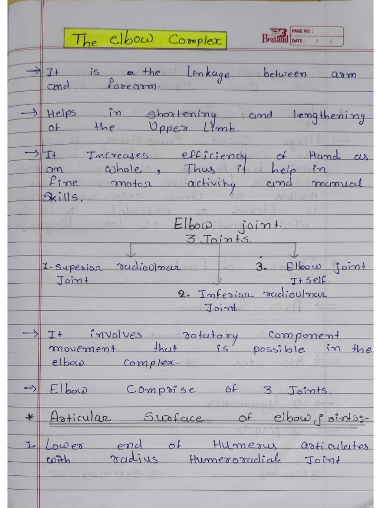Elbow Joint Hand Written Notes | PDF