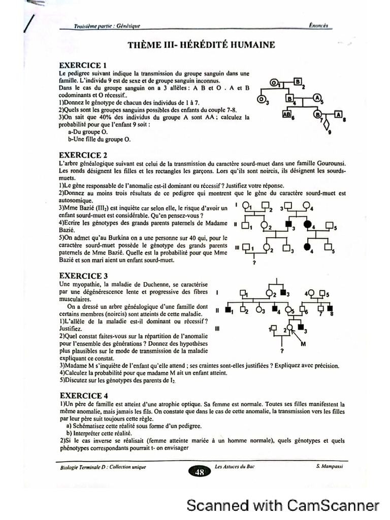 Exercices Sur L'hérédité Humaine | PDF